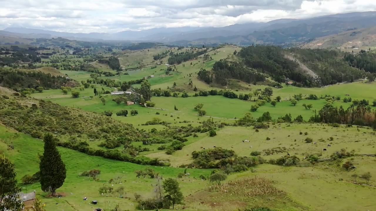 Pesca Boyacá Youtube