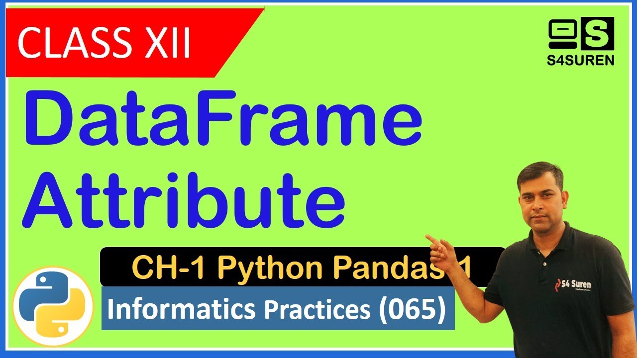 Dataframe Attribute Ch 1 Python Pandas Informatics Practices Ip 065