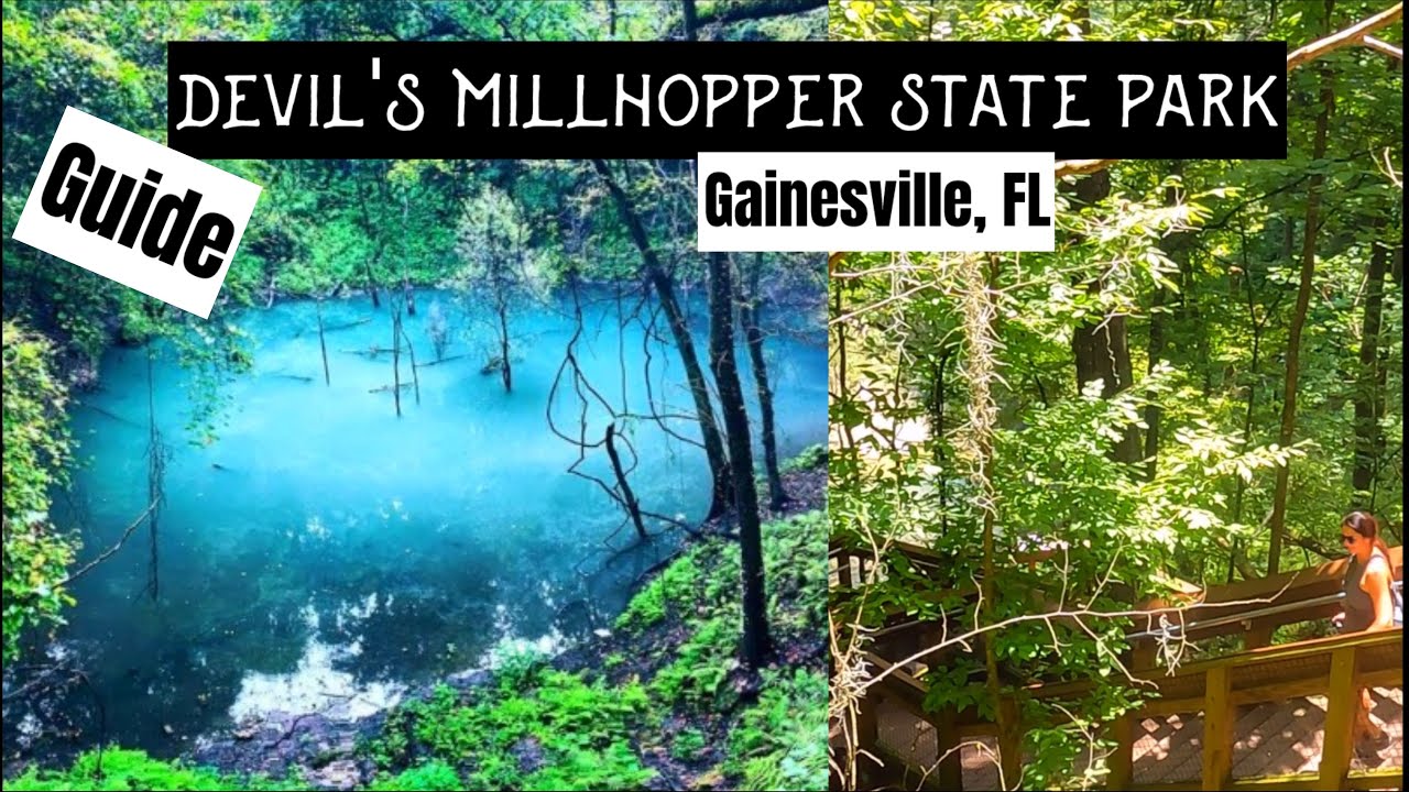 Visitors Guide To Devil S Millhopper State Park Gainesville Fl
