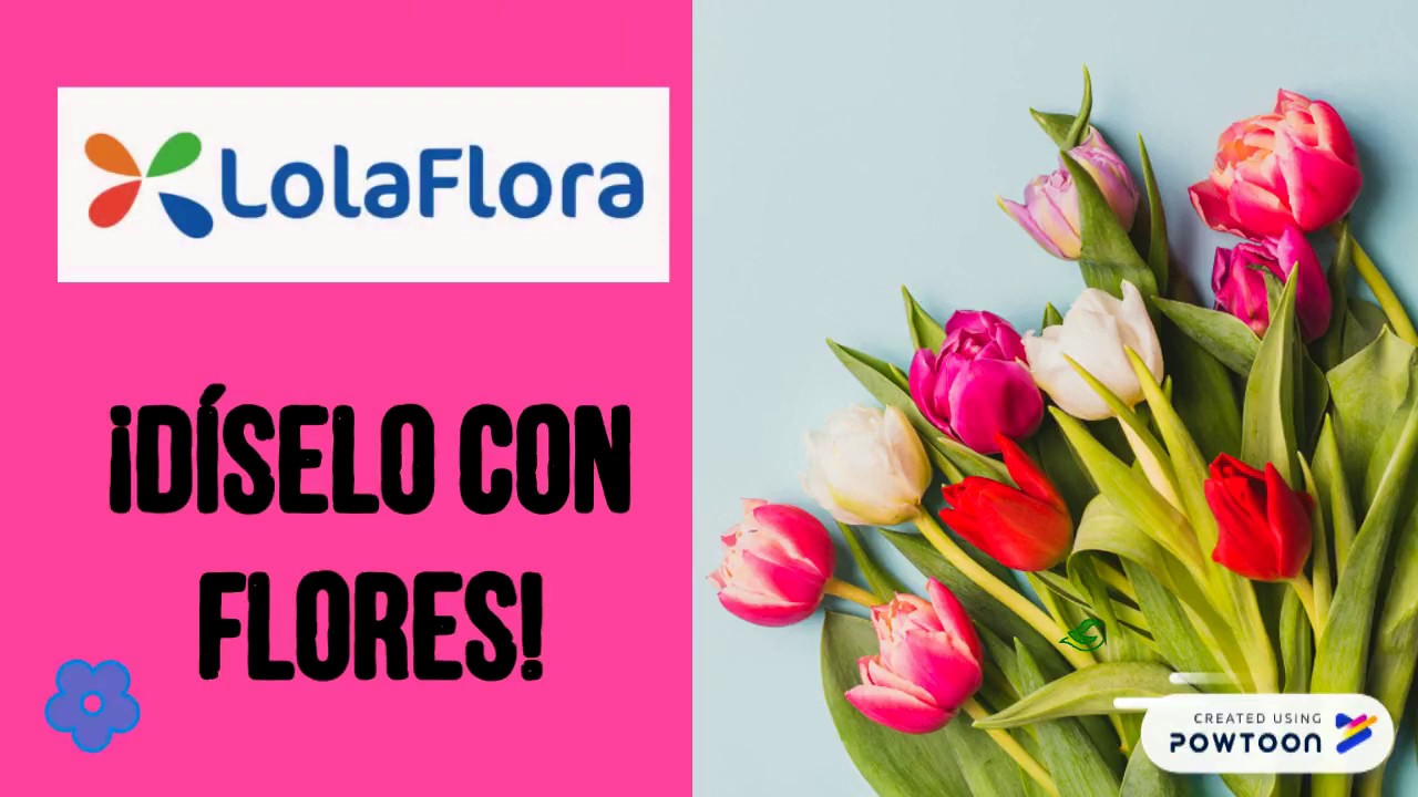Florería Lolaflora Youtube