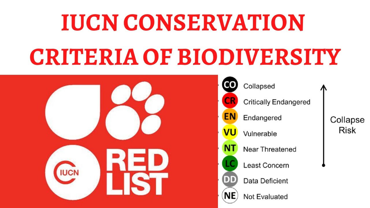 Iucn Red List Of Threatened Species Classification Extinct