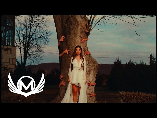 Matteo @Theo Rose - Copacul Official Video