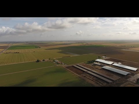 Planet Smart Dairy Showcase Youtube