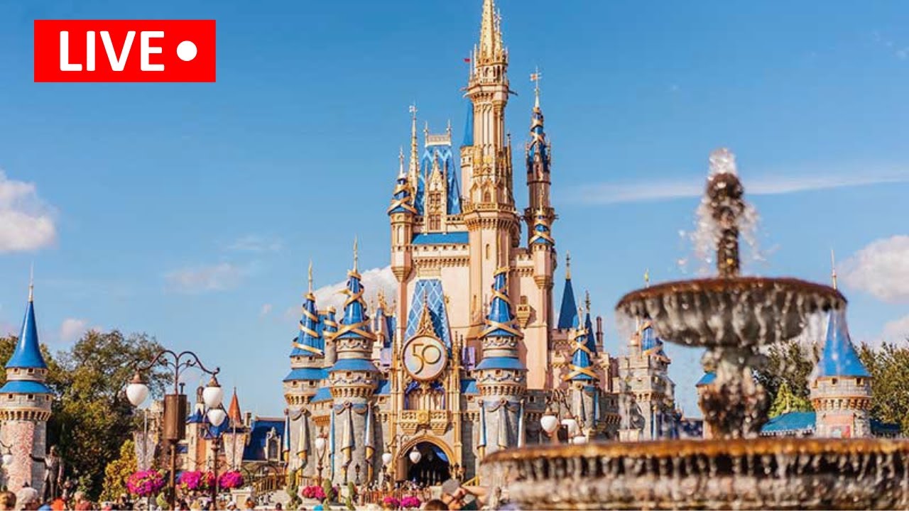 рџ ґlive Whimsical Wednesday At Magic Kingdom Walt Disney World Live