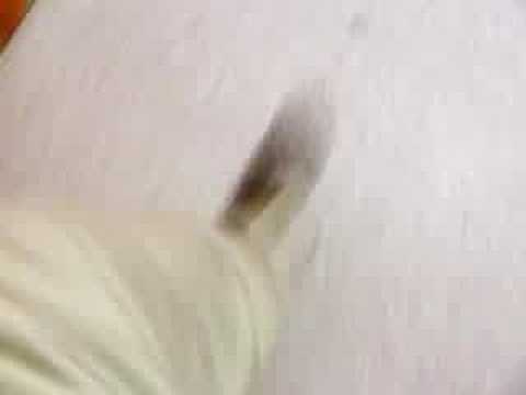 Simplex 2001 Fire Alarm Test Youtube