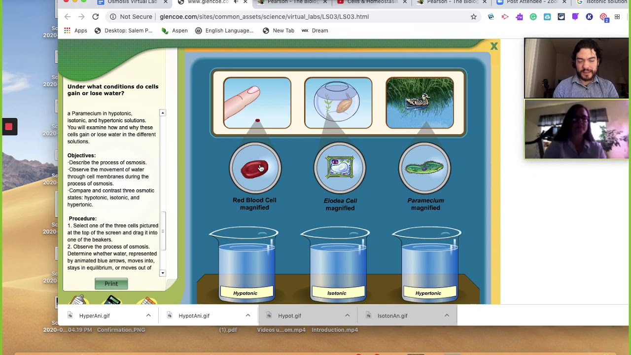 Osmosis Lab Virtual At Michael Skalski Blog