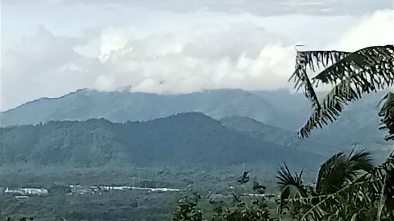 June 26 2024 Youtube