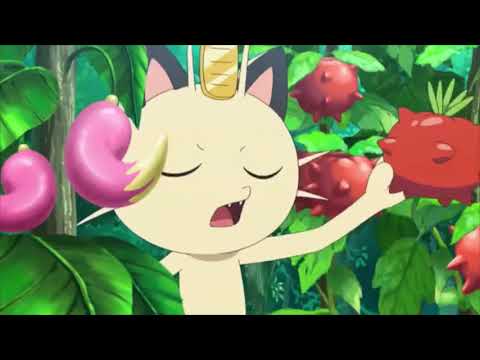 Meowth Eats A Super Spicy Berry Compilation Youtube