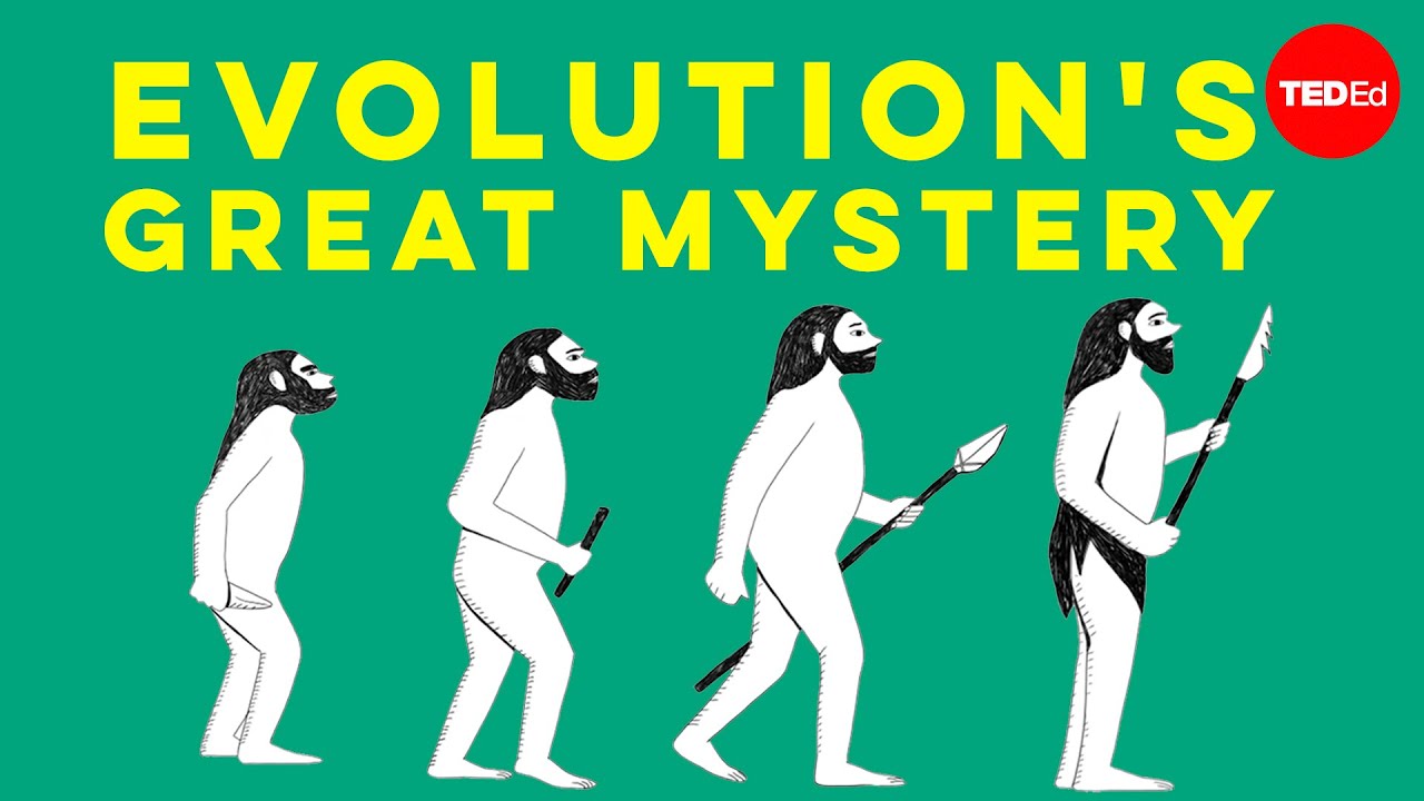 Evolution S Great Mystery Michael Corballis Youtube