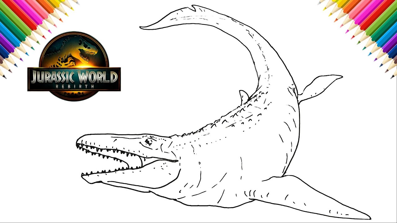 How To Draw A Mosasaurus Mosasaurs 101 National Geographic