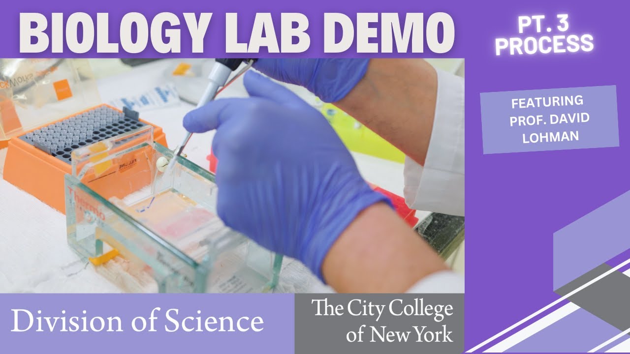 Ccny Biology Lab Demo Part 3 Process Youtube