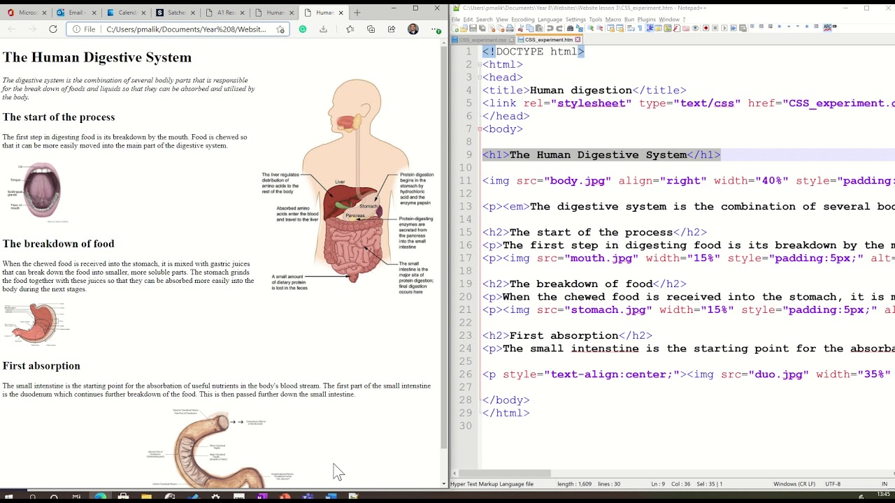 Lesson 3 Css Task Youtube