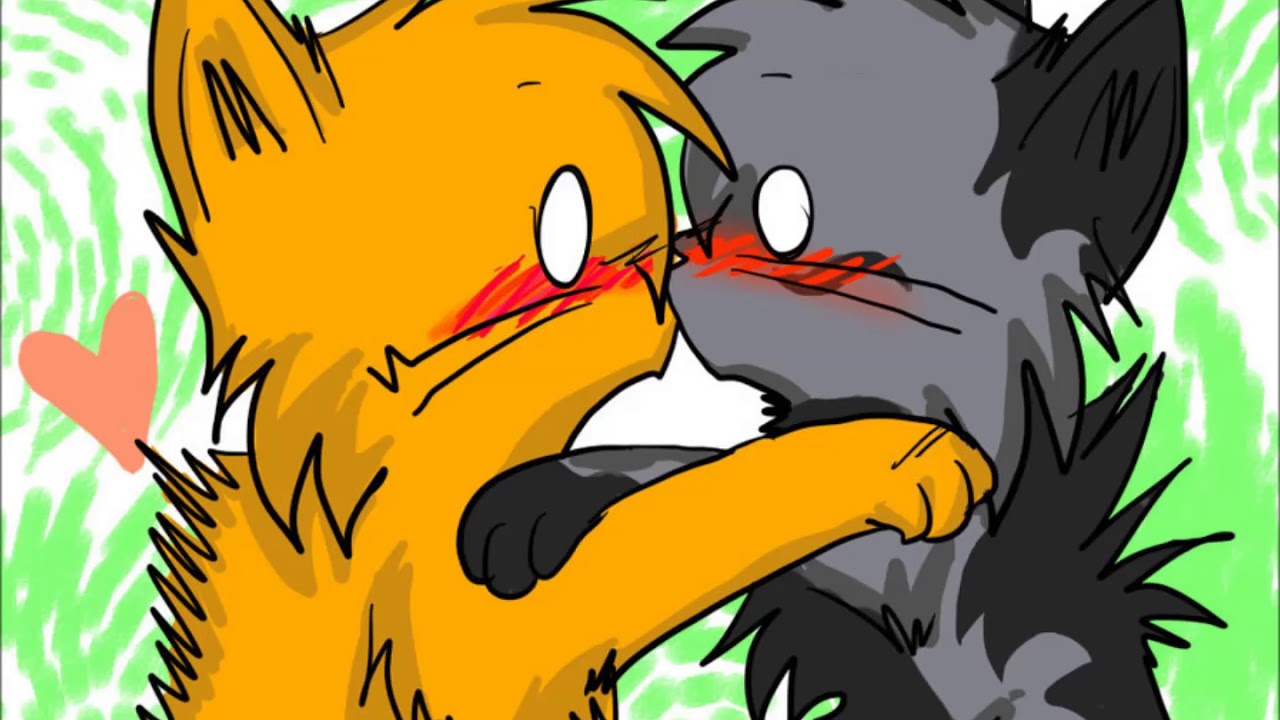 I Kissed A Boy Girl Warrior Cats Lgbt Valentine S Day Special Youtube