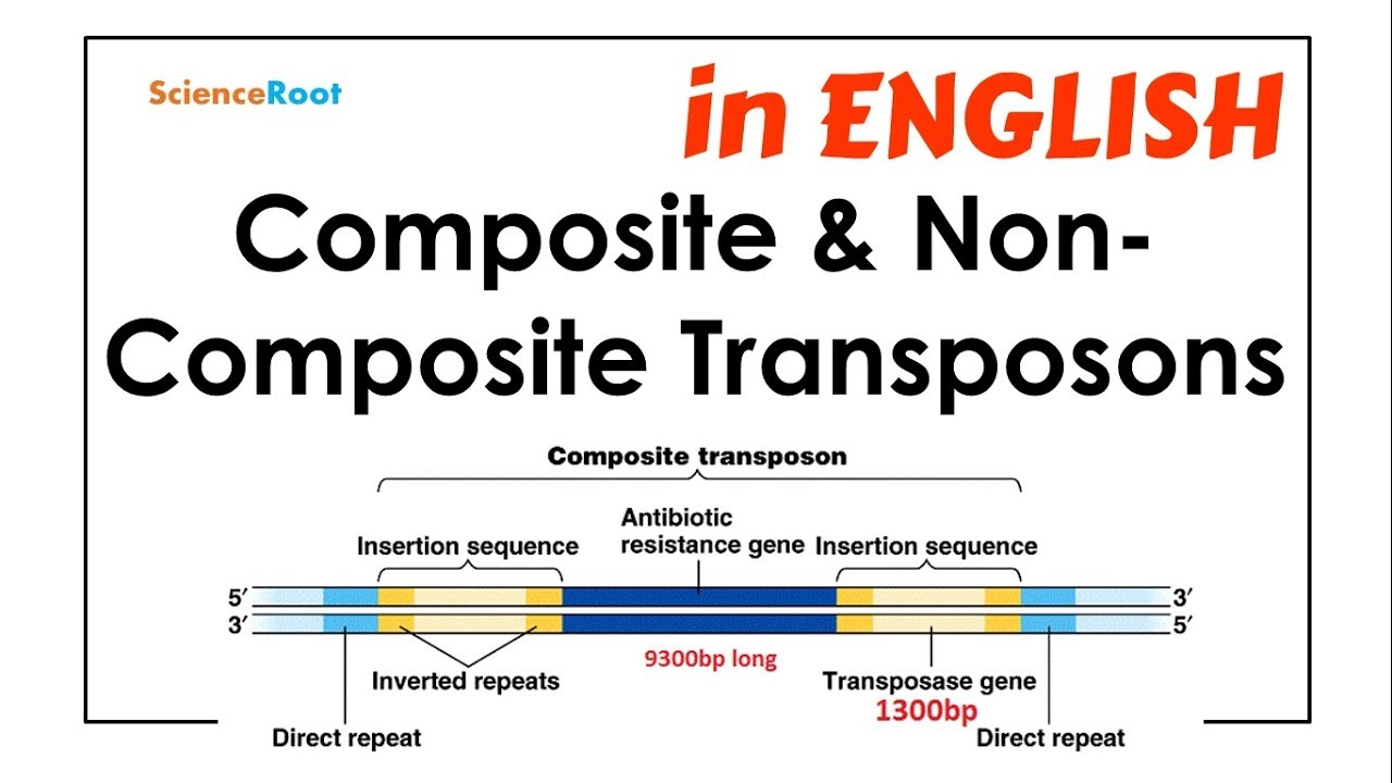 Difference Between Composite And Non Composite Data Types At Gabriella
