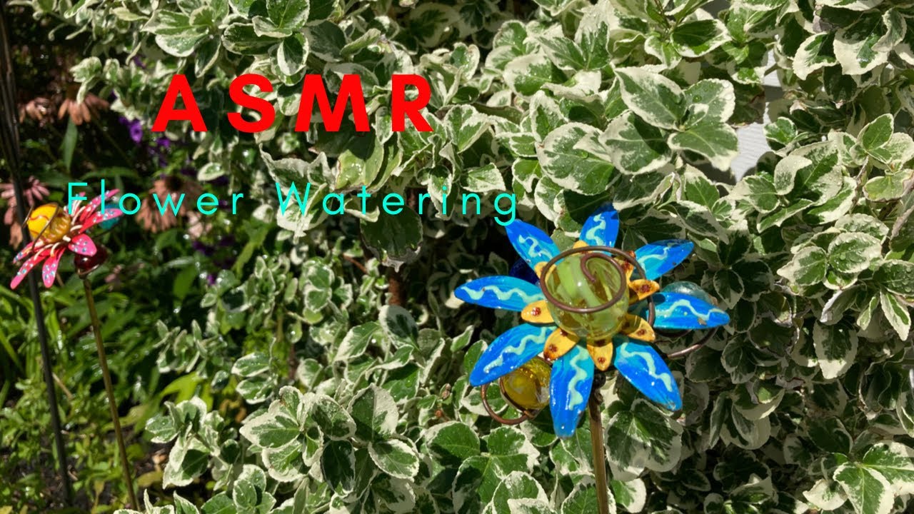 Flower Watering Asmr Youtube