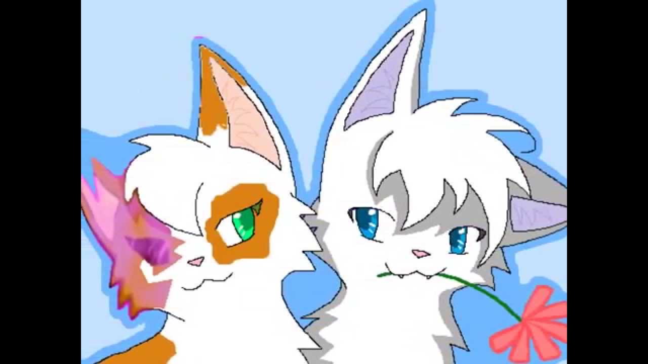 Brightheart And Cloudtail Youtube