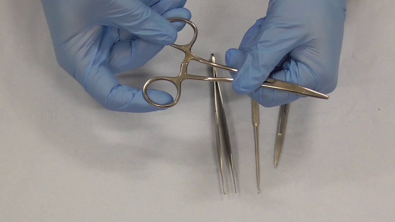 How To Hold Suture At Donna Lahti Blog