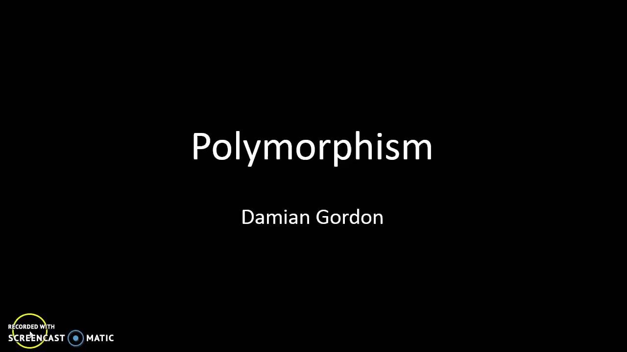 Python Polymorphism Youtube