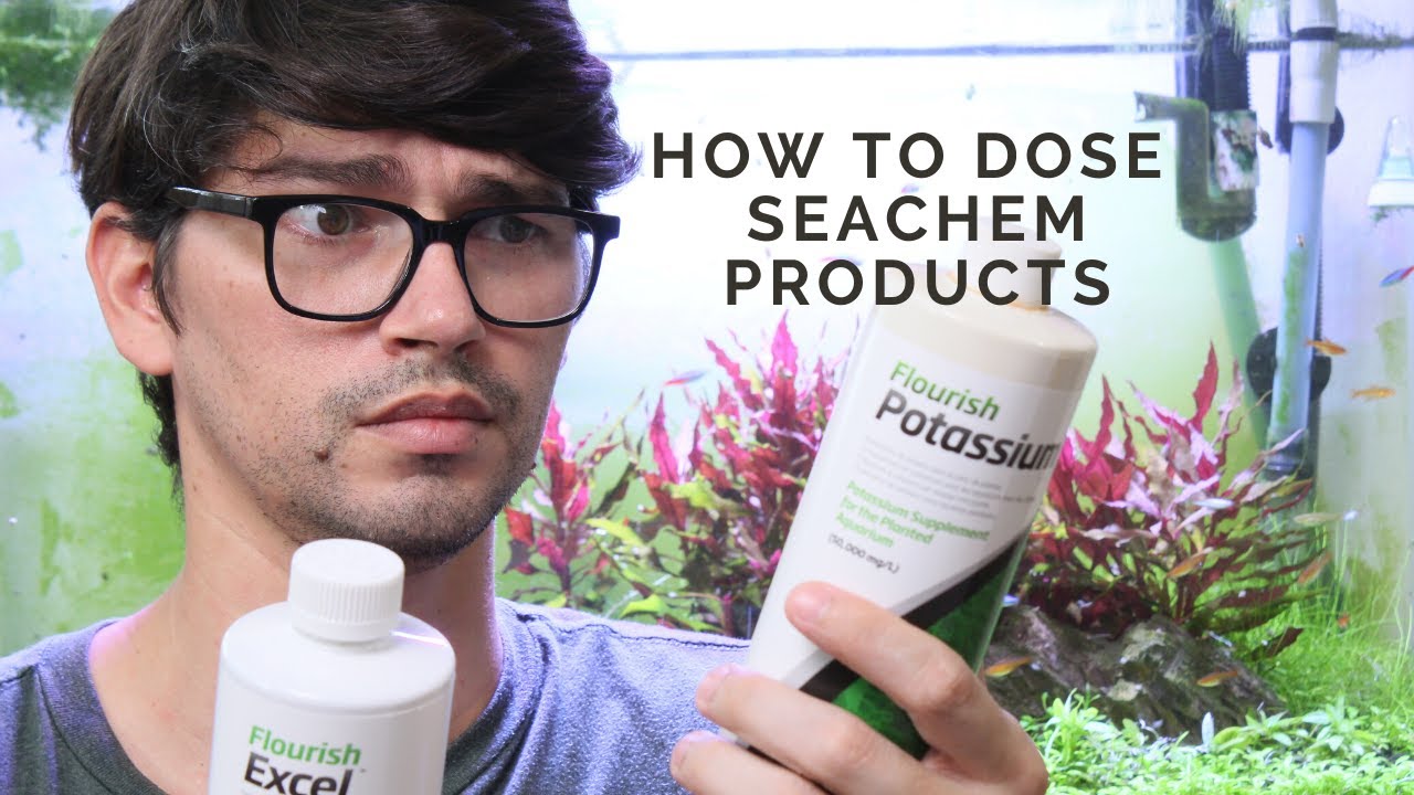 Seachem Dosing Video Youtube
