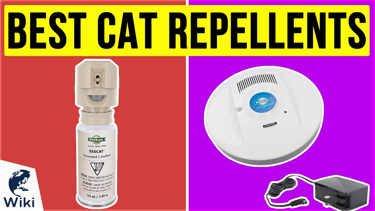 10 Best Cat Repellents 2020 Youtube