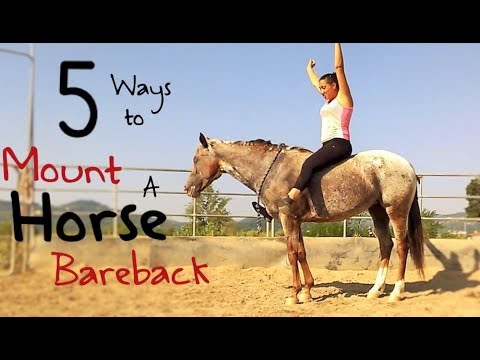 5 Different Ways To Mount A Horse Bareback Youtube