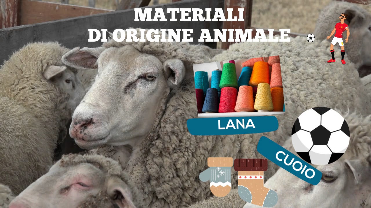 I Materiali Youtube