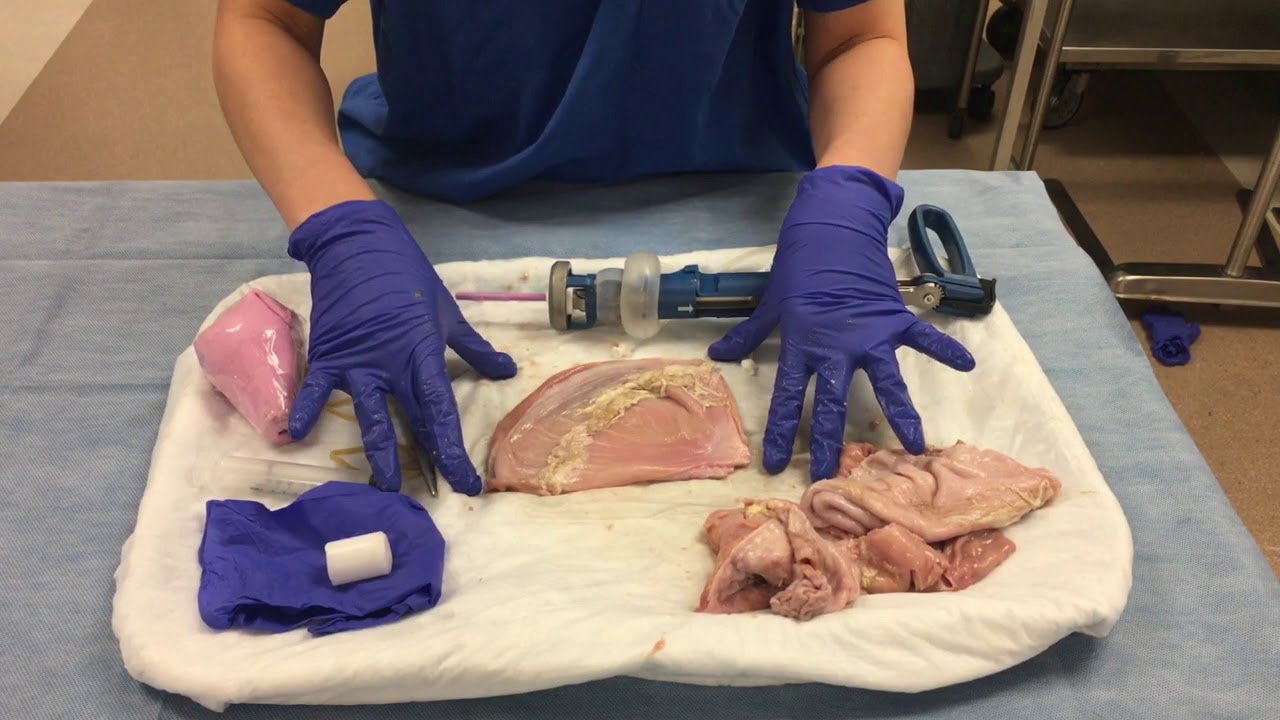 Tissue Model For Laparoscopic Colpotomy Simulation Youtube
