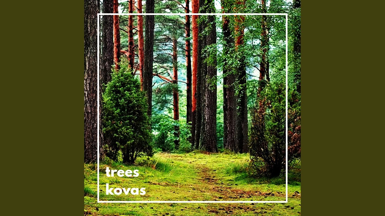 Trees Youtube
