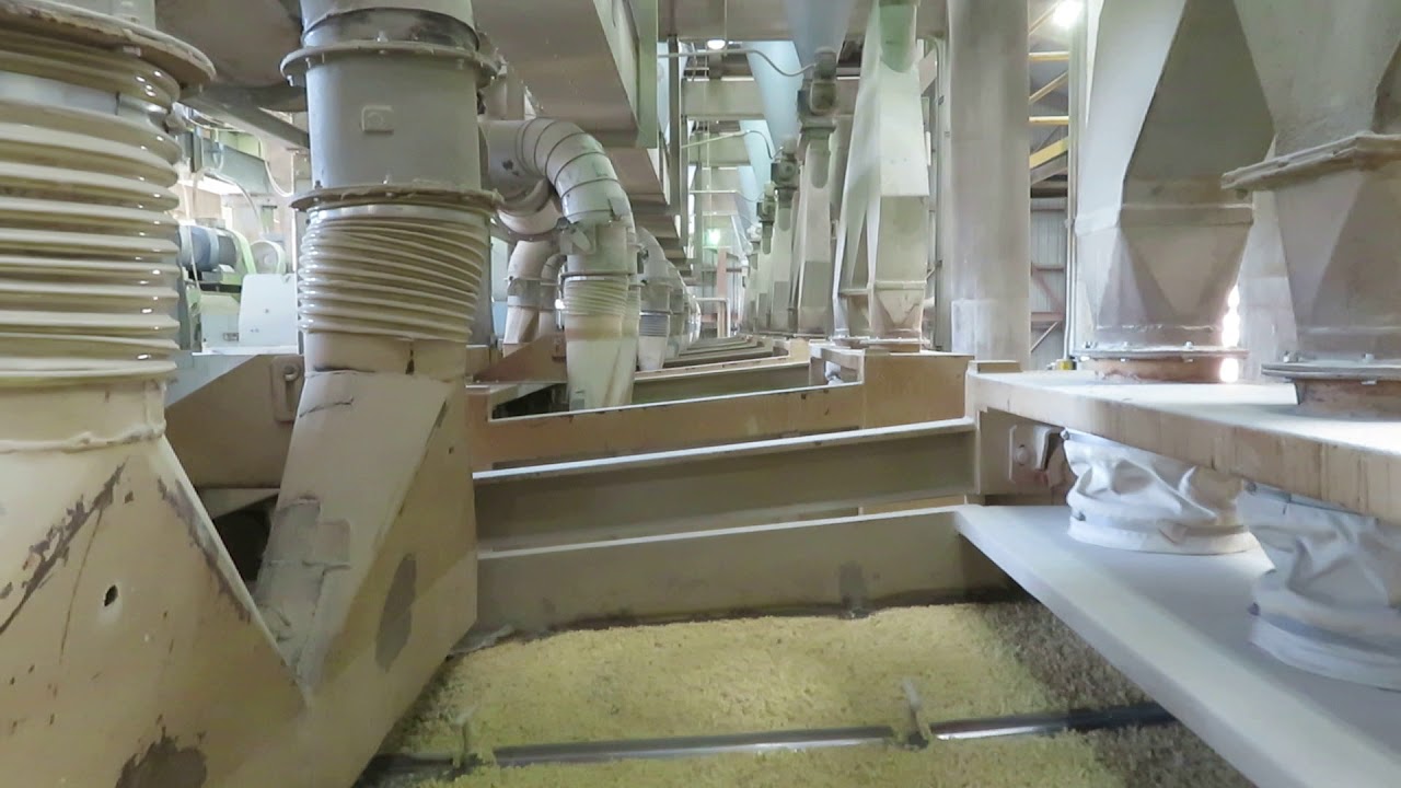 Soybeans Beans Drying Dehulling Separating Foreign Material 07 2
