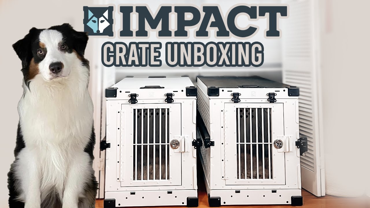 Impact Crate Unboxing Flambothedog Youtube
