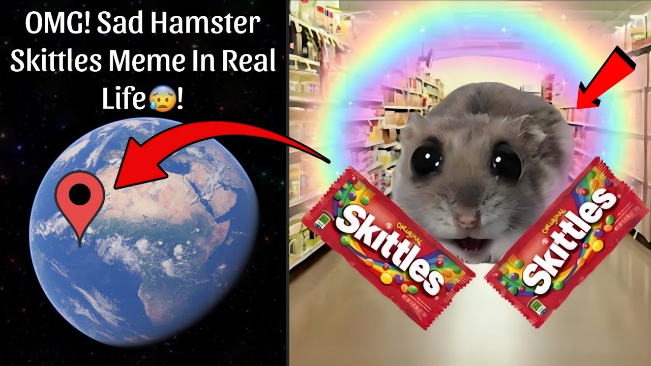 Sad Hamster Skittles Meme On Google Earth Youtube
