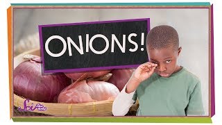 Why Do Onions Make Us Cry Colossal Questions Learn Withme Mp3 Mp4