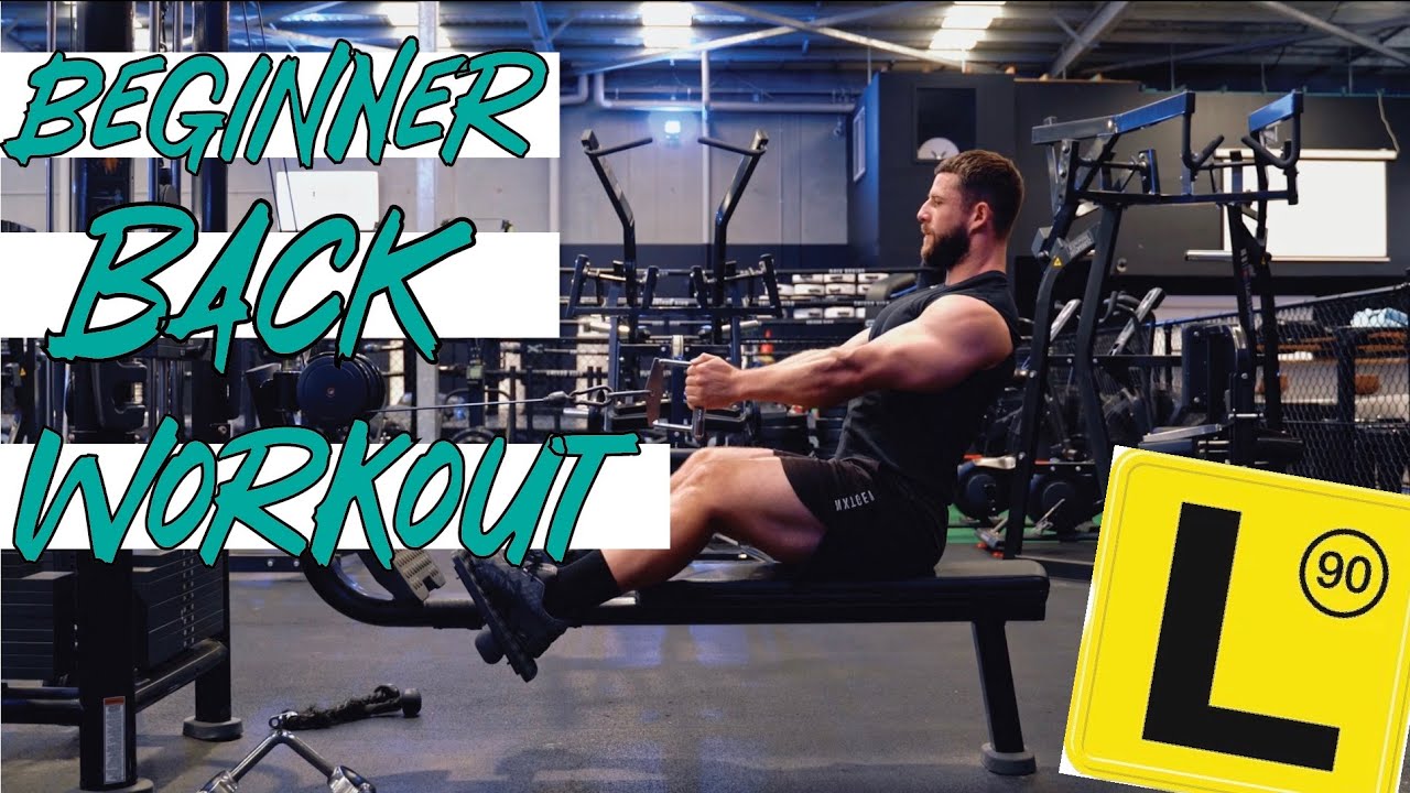 Beginner Back Workout Youtube