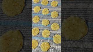 Sabudana Papad Recipe Youtubeshorts Trending Shortvideo ...