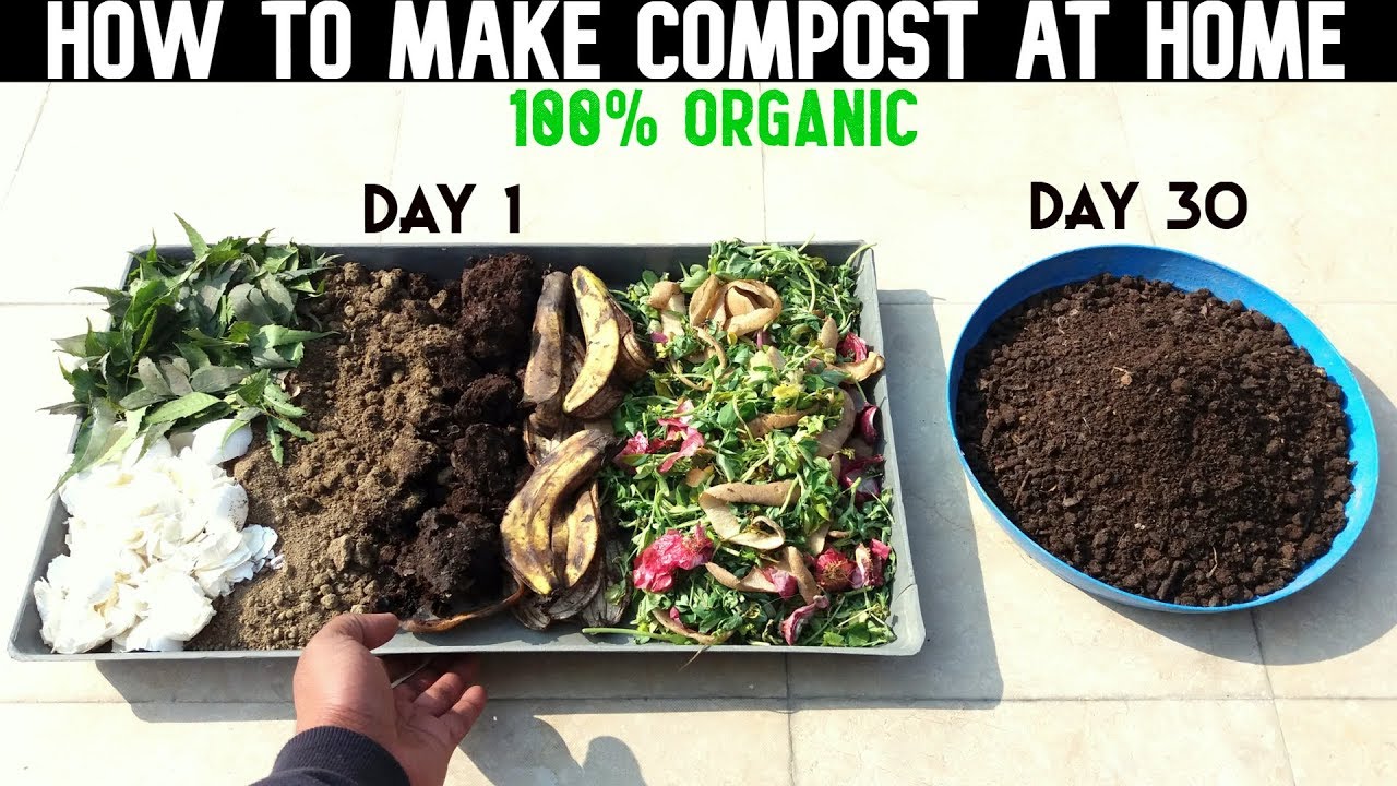How To Make Compost At Home With Full Updates Youtube