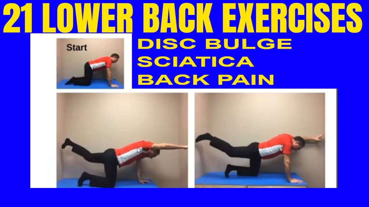 Free Printable Low Back Exercises Pdf Guide Printables For Everyone