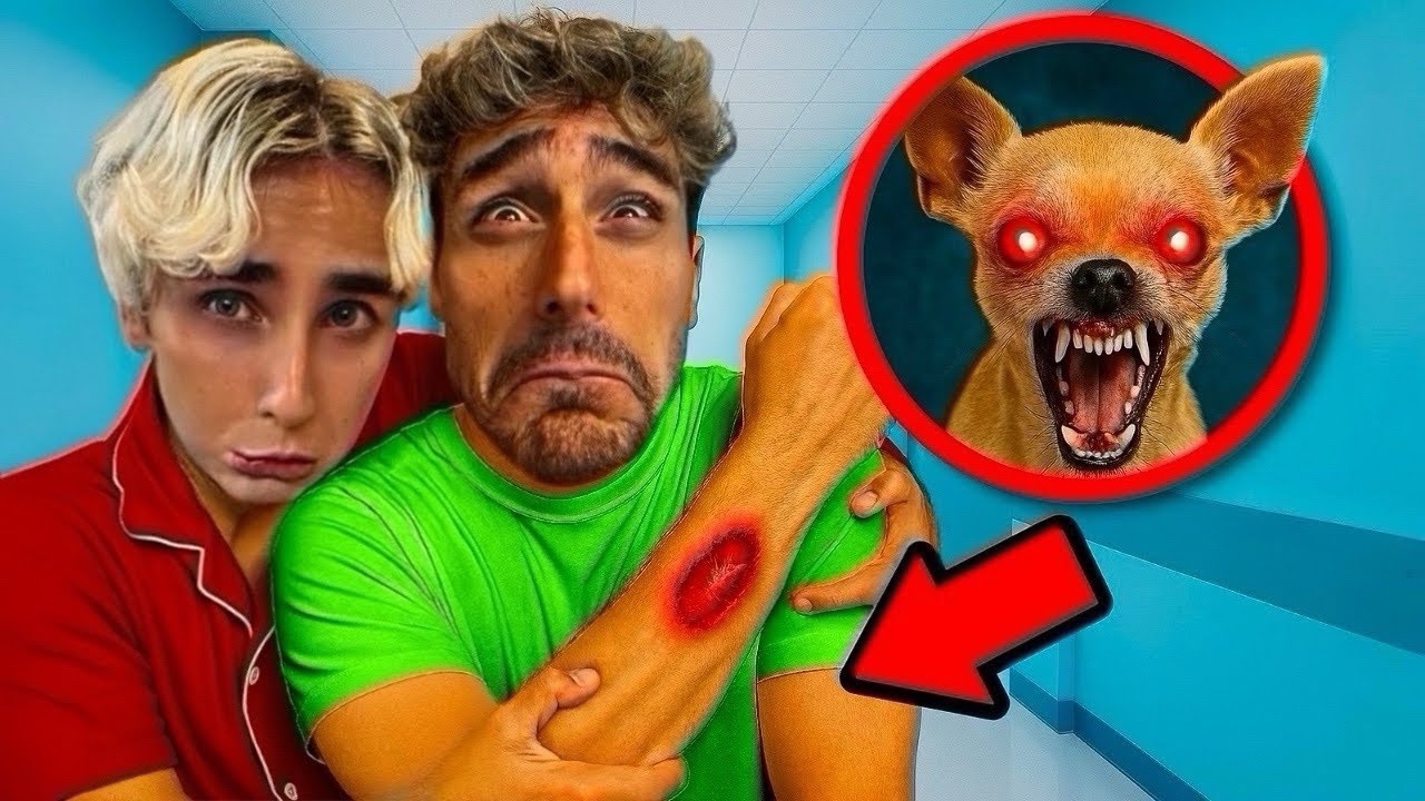 My Possessed Dog Bit My Boyfriend ёяшнёятф Youtube