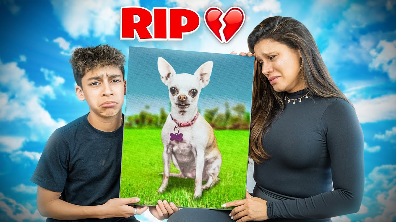 Goodbye Princesa Rip Youtube
