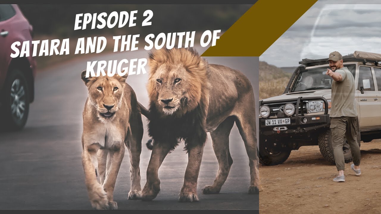 Kruger National Park Ep 2 Satara The South Of Kruger Strong
