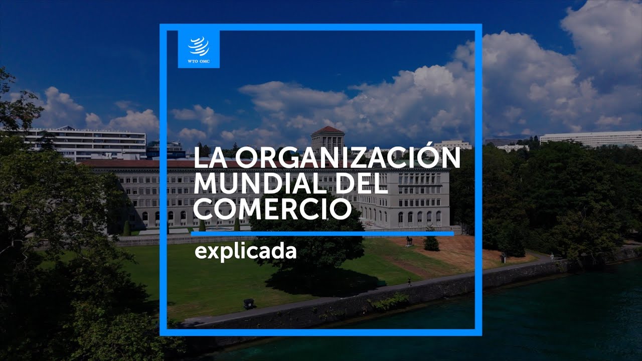 La Omc Explicada Youtube