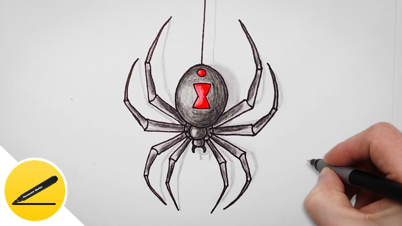 Cool Spider Drawing