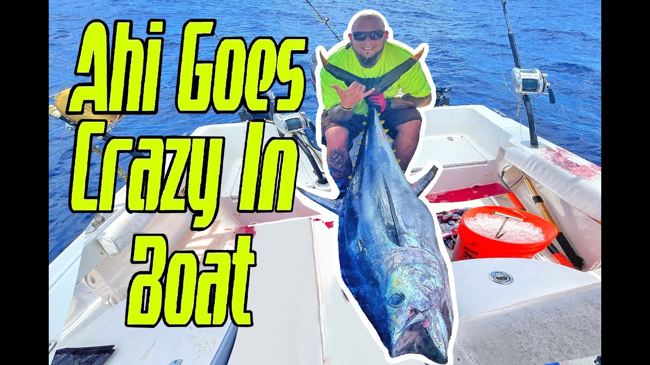 Yellowfin Tuna Goes Crazy In Boat Hawaii Ahi Action 4k Youtube