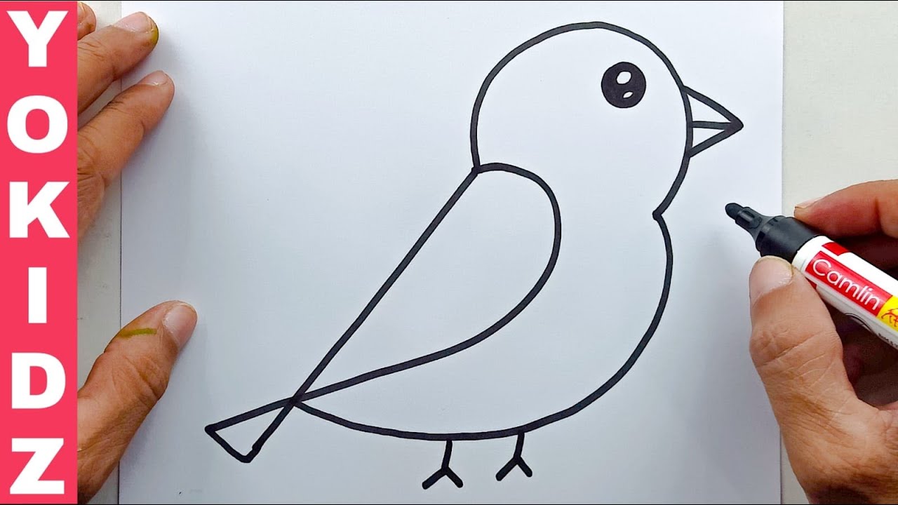 Drawing Ideas Easy Birds At Karen Ward Blog