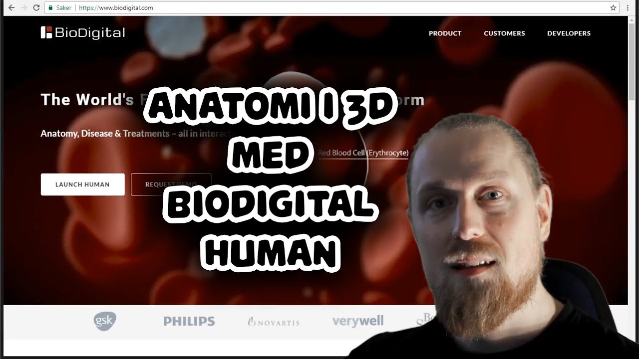 Biodigital Human Anatomi I 3d Youtube