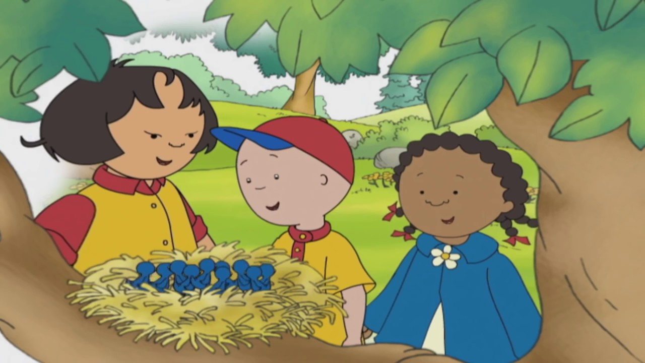 Cartoon Caillou English Youtube