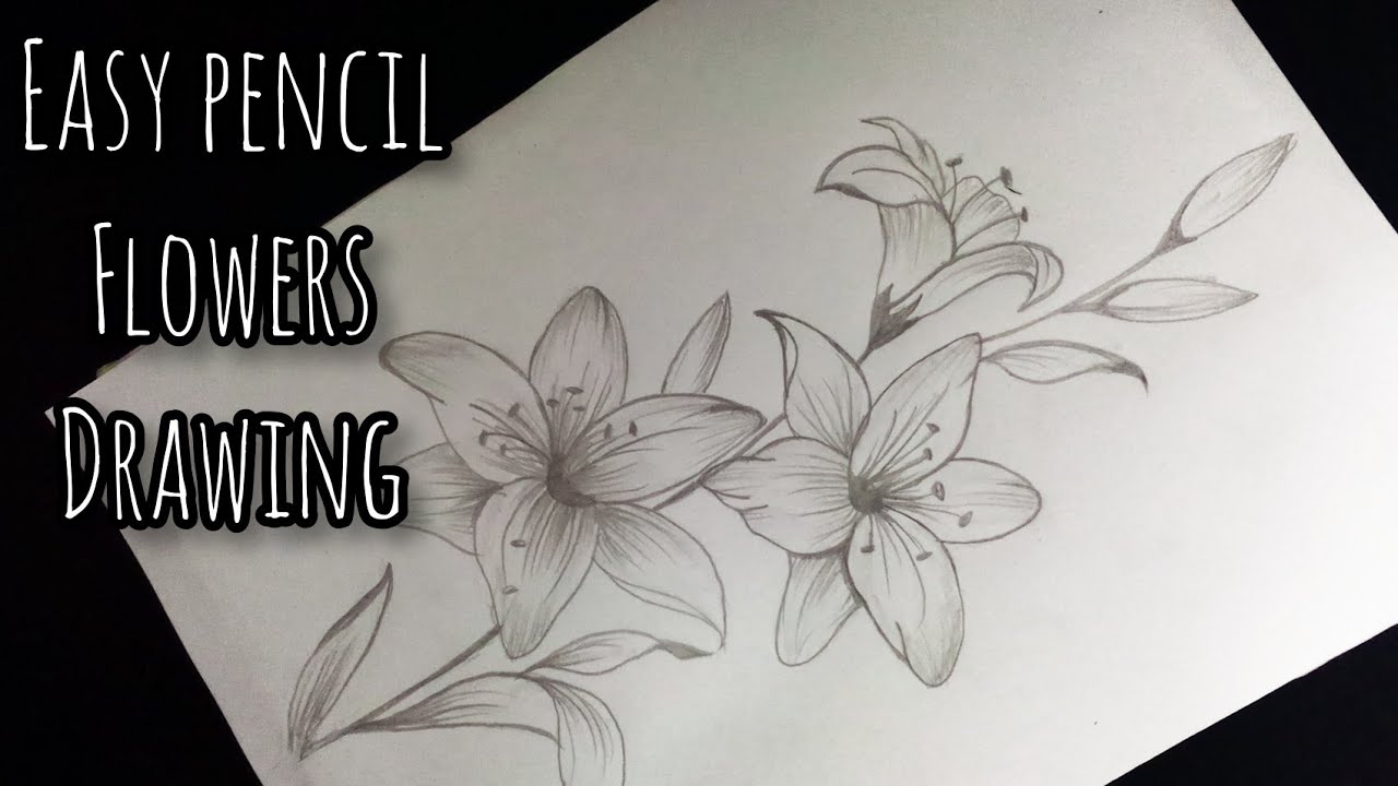 Easy Pencil Flower Drawing Step By Step Infoupdate Org