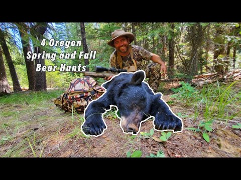 Oregon Spring And Fall Bear Hunts Youtube