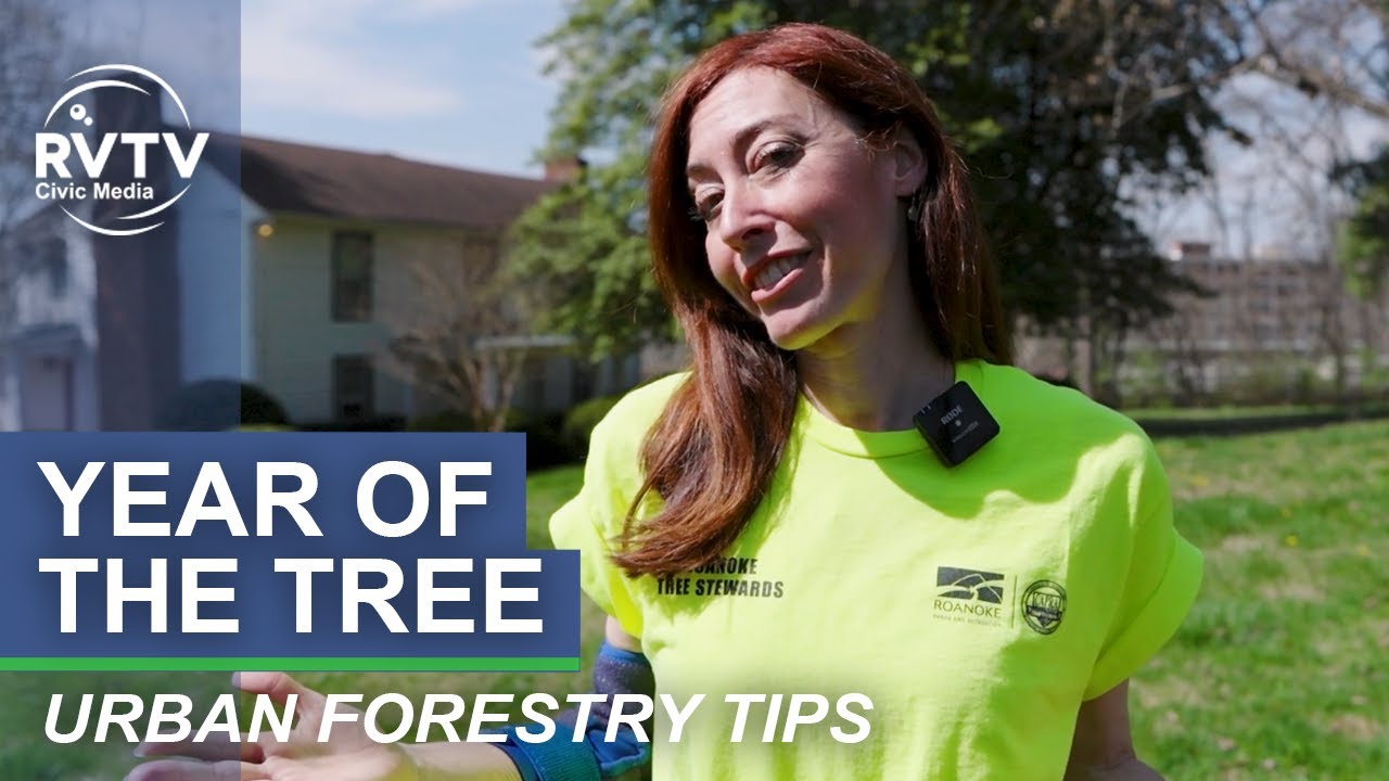 Celebrating The Year Of The Tree Tree Steward Urban Forestry Tips