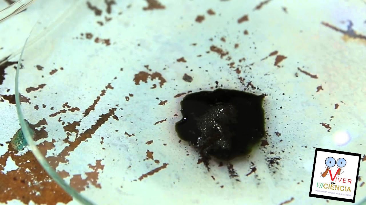 Viver Ciência 2015 Teaser Youtube