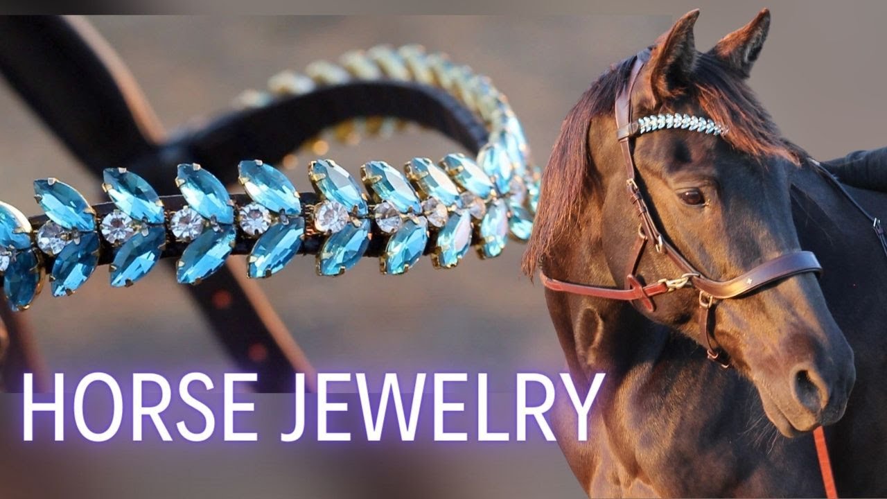 Unboxing Ella S Gorgeous New Bitless Bridle Youtube